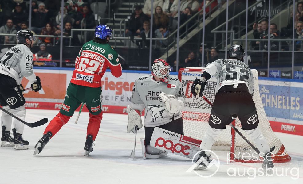 Starkes Zeichen | Thomas Schemitsch bleibt ein Augsburger Panther ...